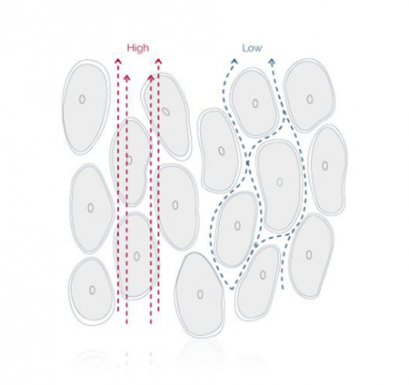 InBody Technology | InBody Oceania - Why Our BIA Devices Are The Best