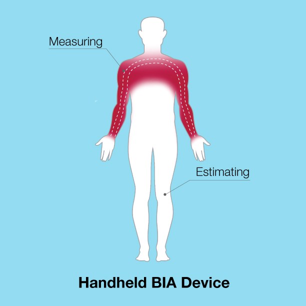 InBody Technology | InBody Oceania - Why Our BIA Devices Are The Best